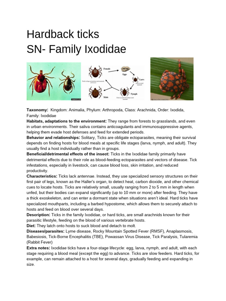 Hardback Ticks | PDF