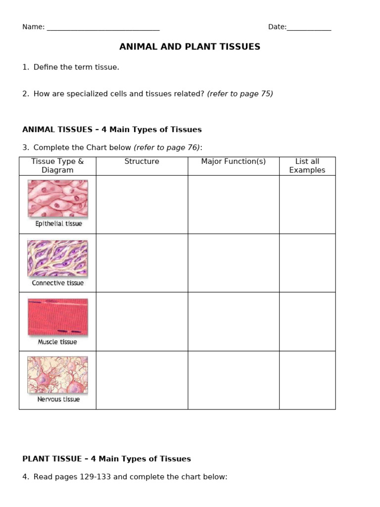 1.10 Animal and Plant Tissues Worksheet | PDF | Tissue (Biology ...