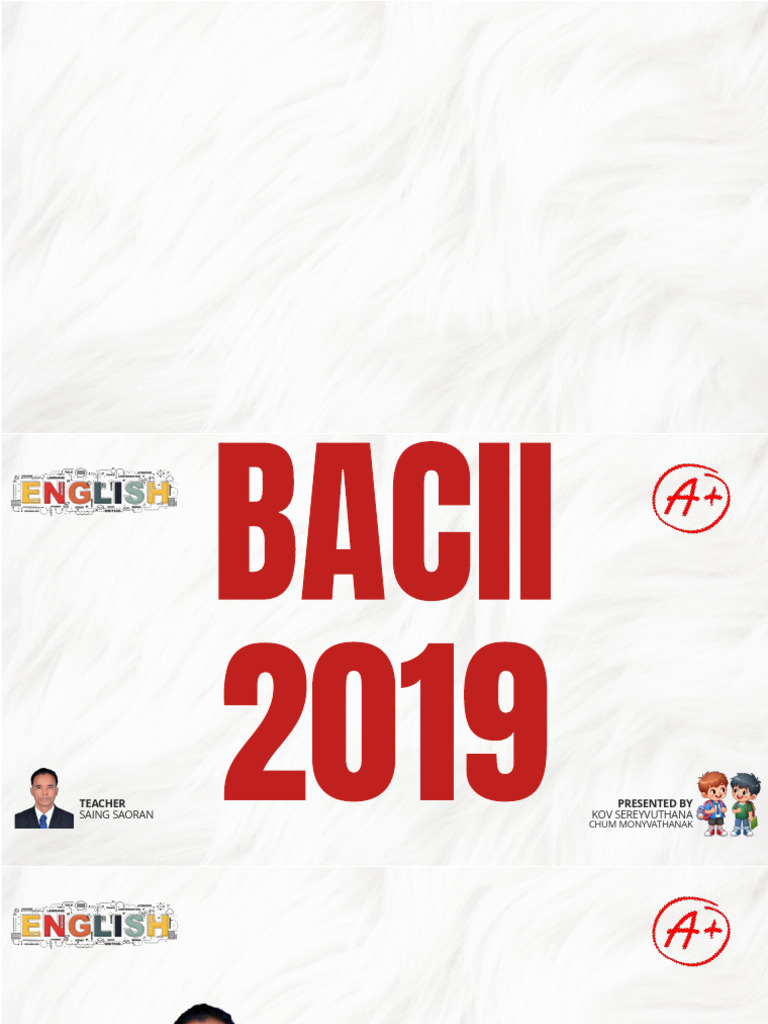 BacII 2019 (2) | PDF