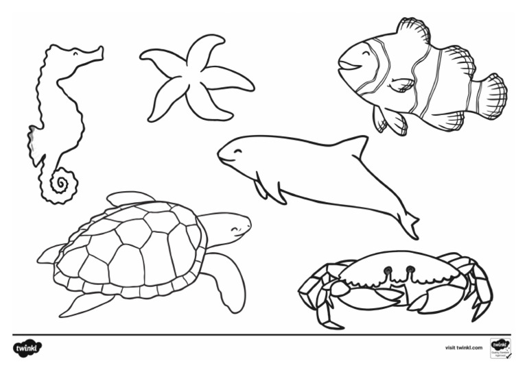 t Tp 2679398 Colouring Page of Baby Sea Animals Ver 1 | PDF