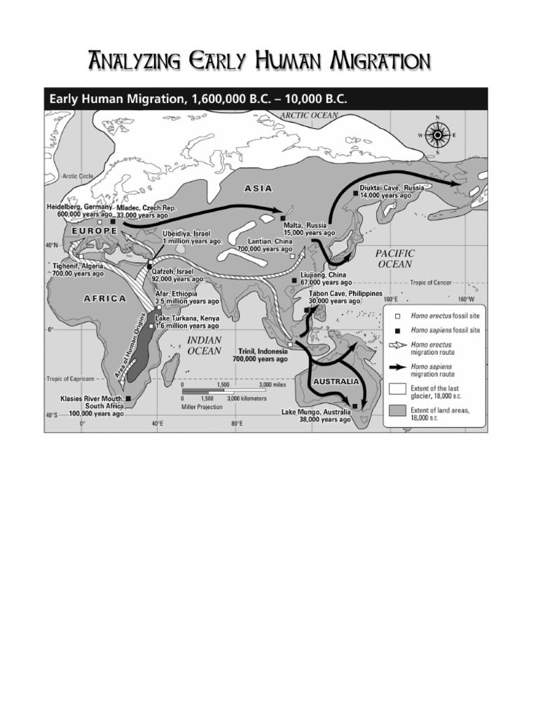 02 - Human Migration Patterns Worksheet | PDF