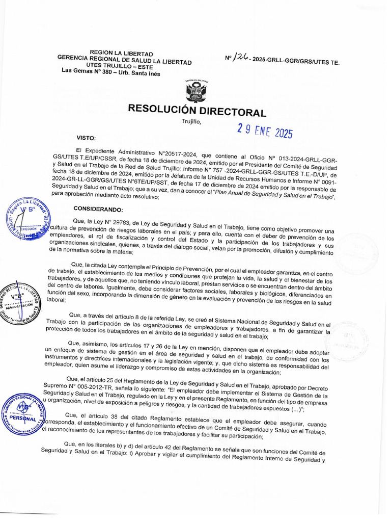 PLAN ANUAL SST_OK_2025 (1) | PDF | Seguridad y salud ocupacional | Business