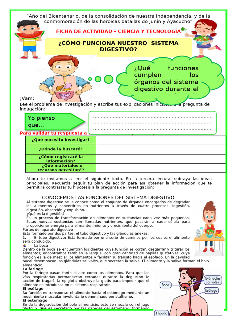 Ficha -Mart-cyt-cómo Funciona Nuestro Sistema Digestivo (1) | PDF | Biología | Sistema digestivo