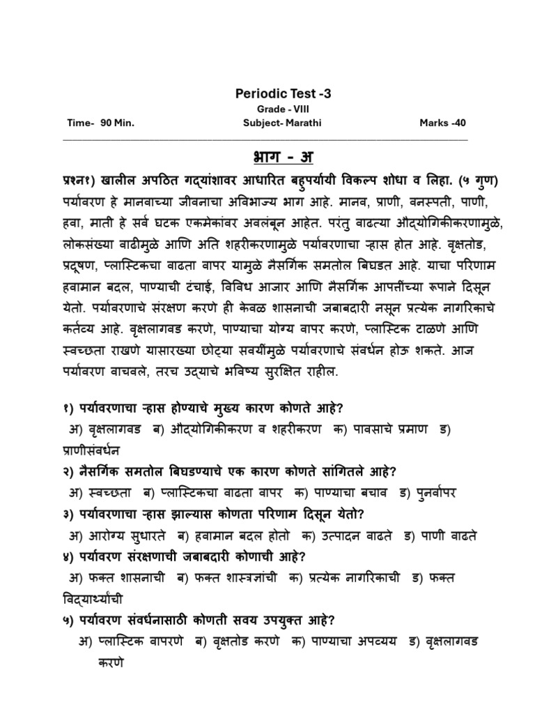 PT 3 Marathi Viii 2025 | PDF