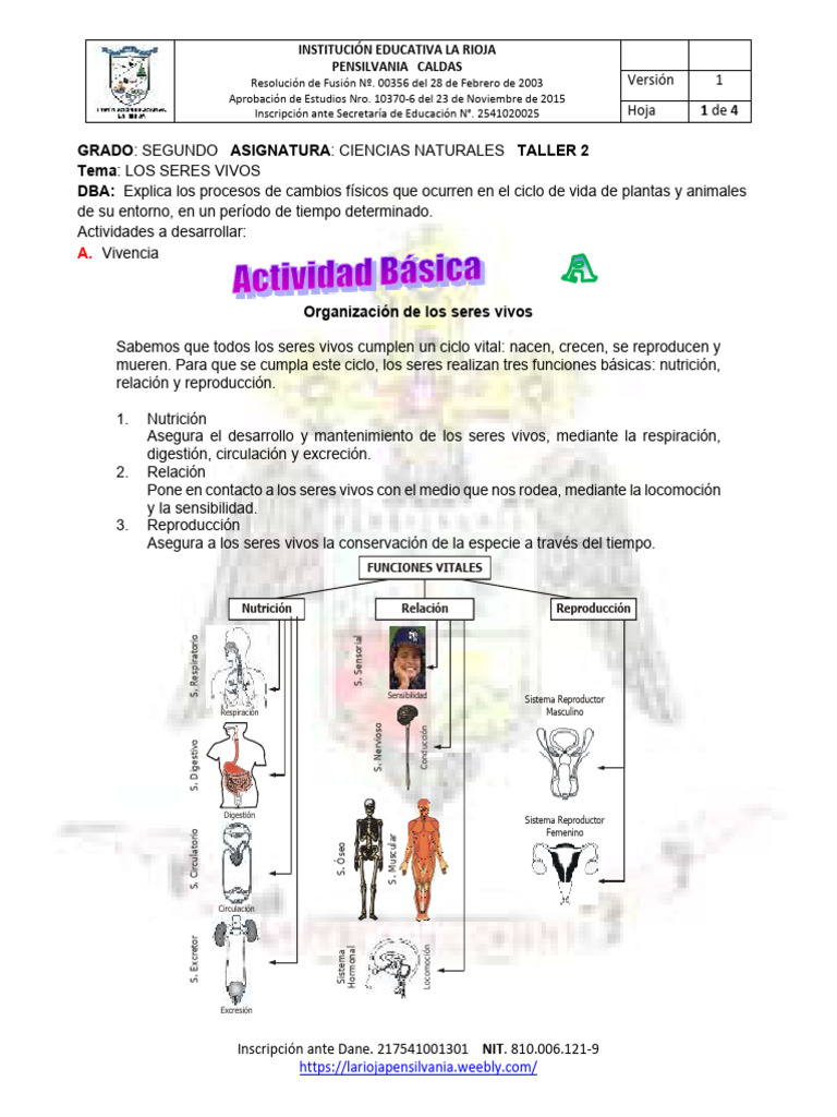 TALLER 3 GRADO 2° | PDF