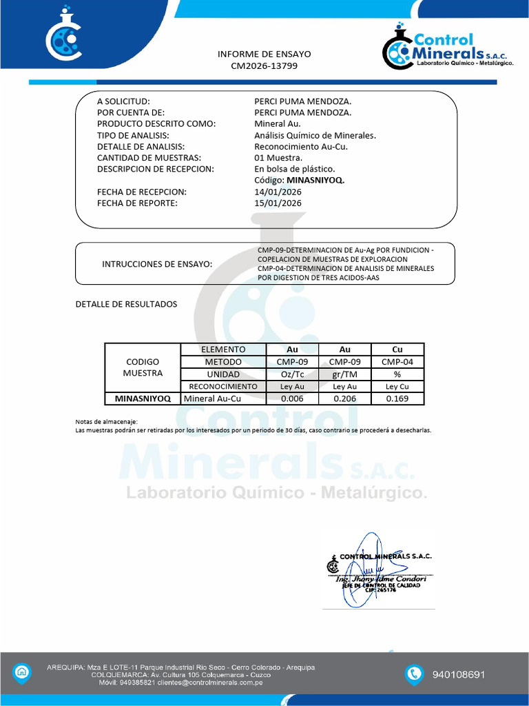 INFORME DE ENSAYO N° 13799 | PDF