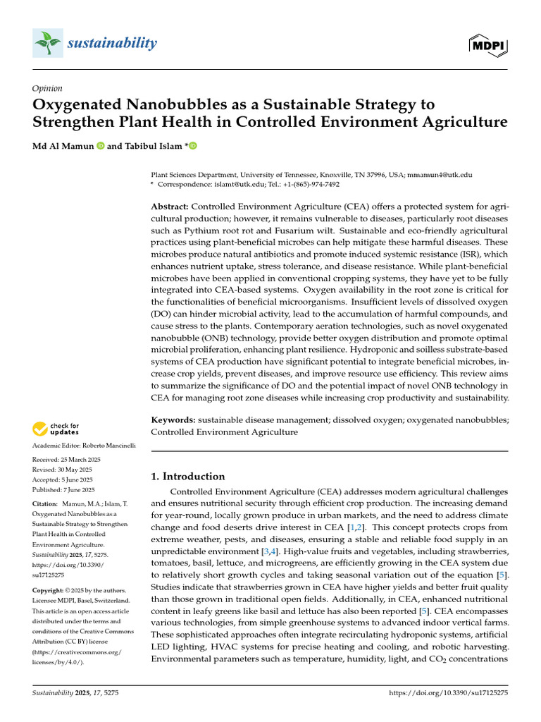 Oxygenated Nanobubbles Indoor Farming Review Paper | PDF | Hydroponics ...