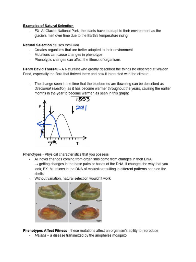 Examples of Natural Selection (1) | PDF | Mutation | Natural Selection