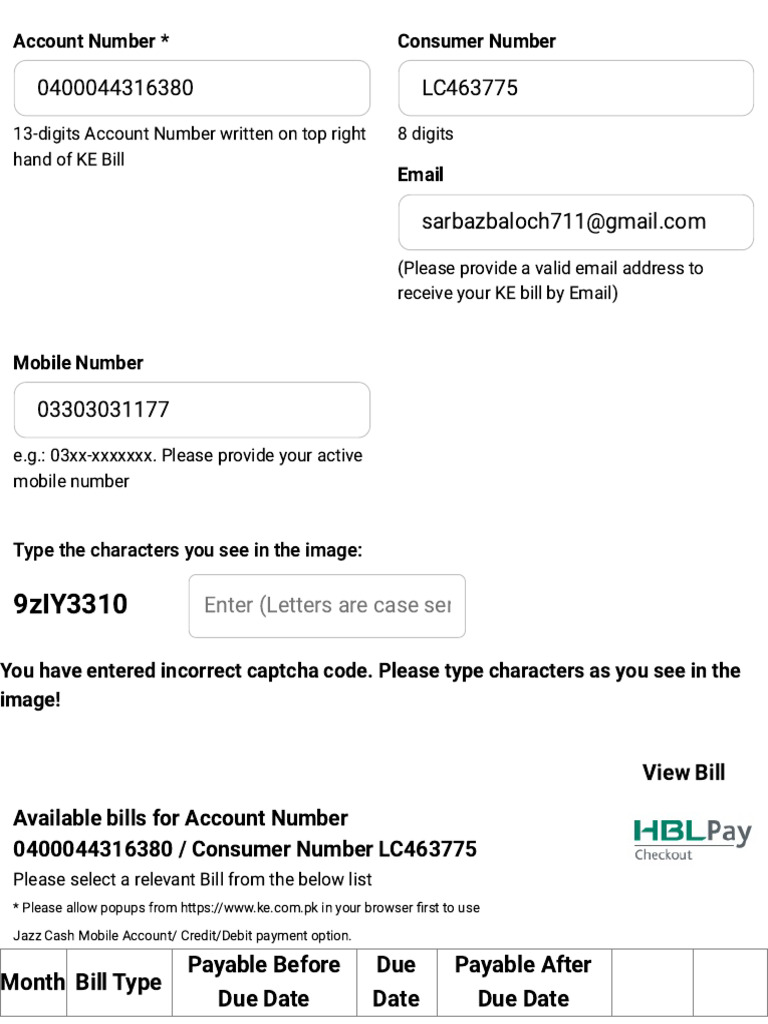 Print Bill | PDF