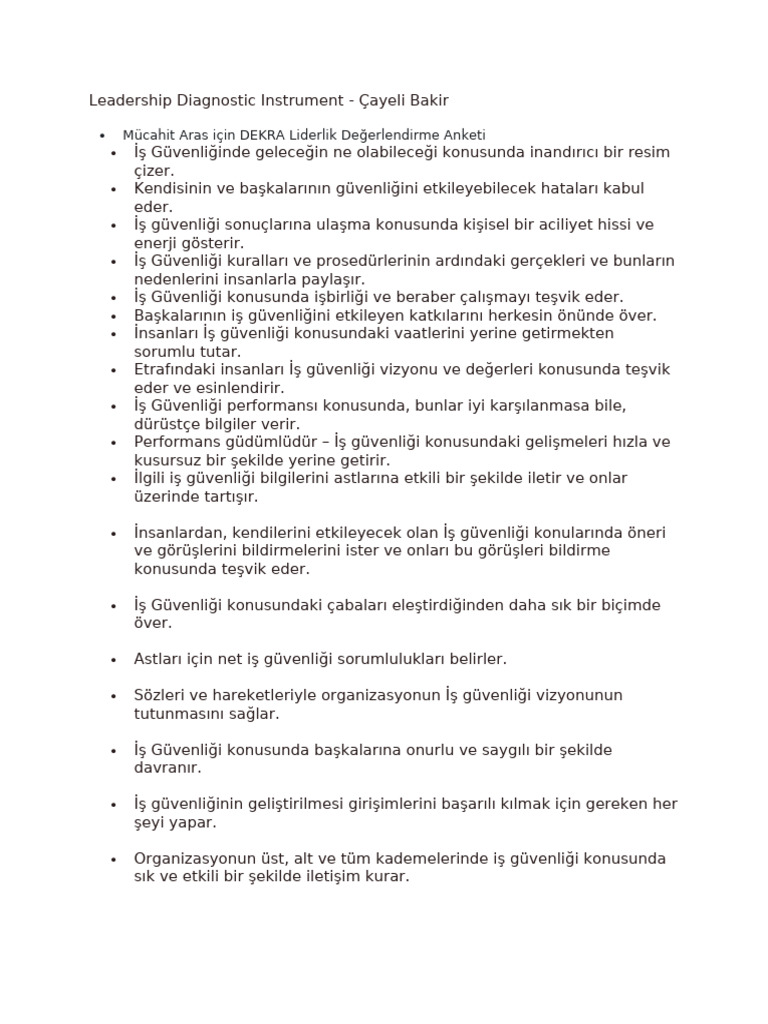 Dekra Leadership Diagnostic Instrument | PDF