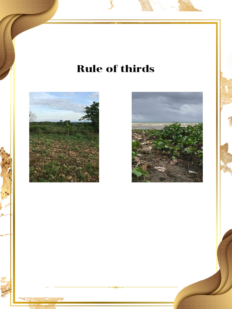 Gold Color Luxury Page Border Document A4_20260106_221645_0000 | PDF