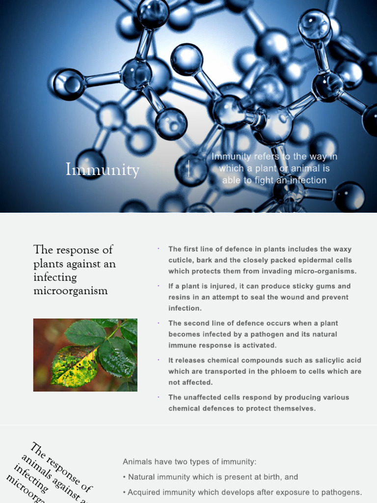 Immunity | PDF