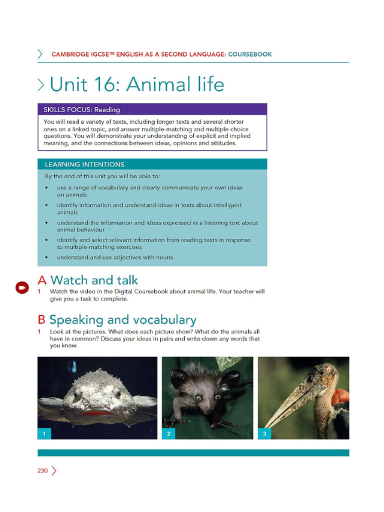 Coursebook - Unit 16 - Animal Life | PDF