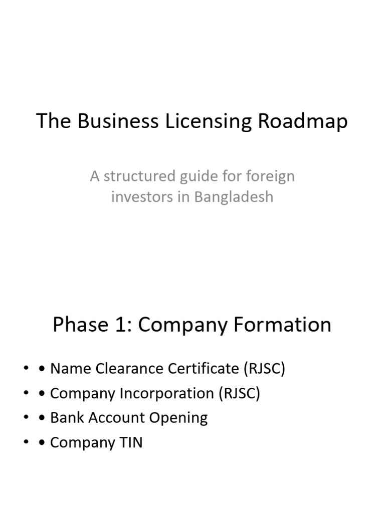 Business Licensing Roadmap | PDF