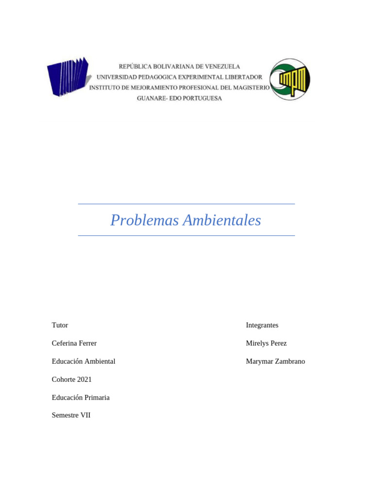 Ensayo Marymar | PDF | Contaminación | Entorno natural