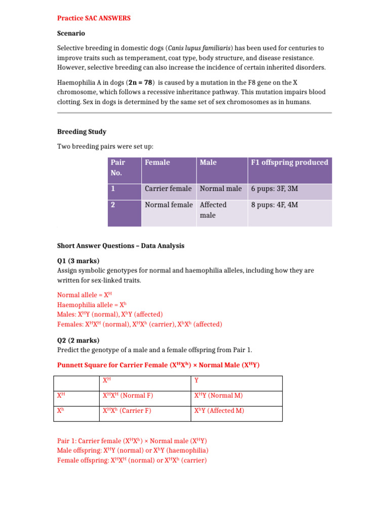 Unit 2 Practice SAC Full Answers | PDF | Dominance (Genetics) | Genotype