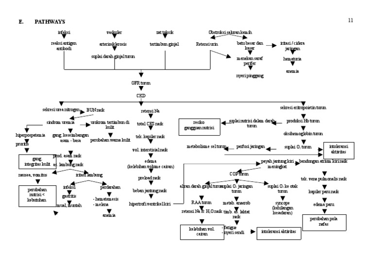 Ckd Pathways
