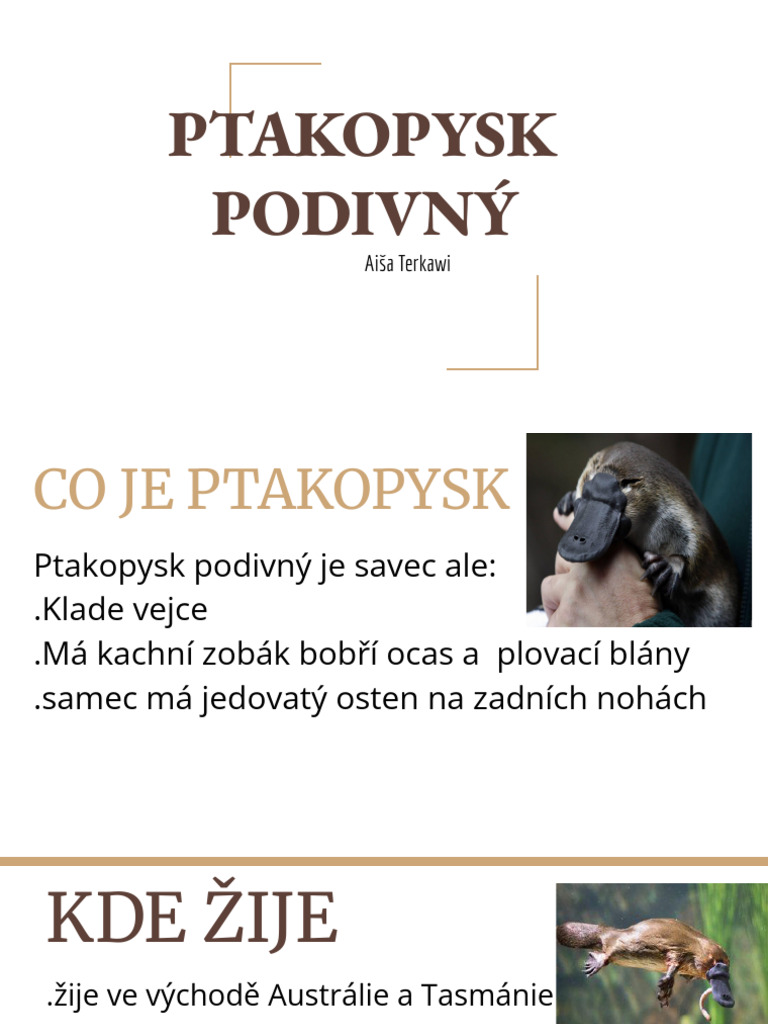 PTAKOPYSK | PDF