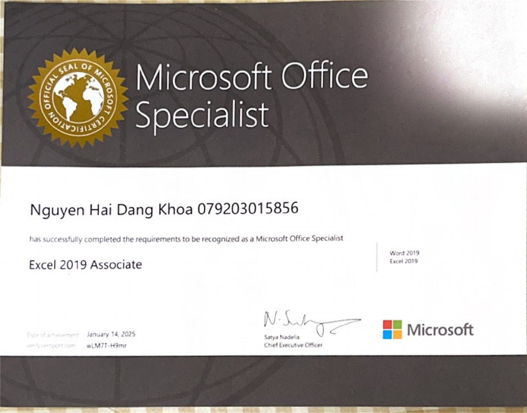 MOS Certificate (Excel 2019) | PDF