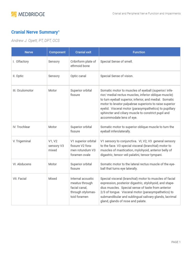 Cranial+Nerve+Summary | PDF | Human Anatomy | Human Head And Neck