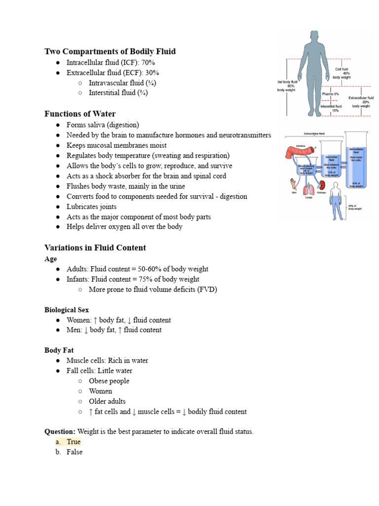 111669 Lecture 7 IV Therapy and Fluid Balance | PDF | Blood Type | Bleeding