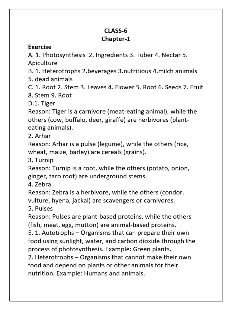 Explorer Science-6 Answer Key | PDF | Leaf | Foods
