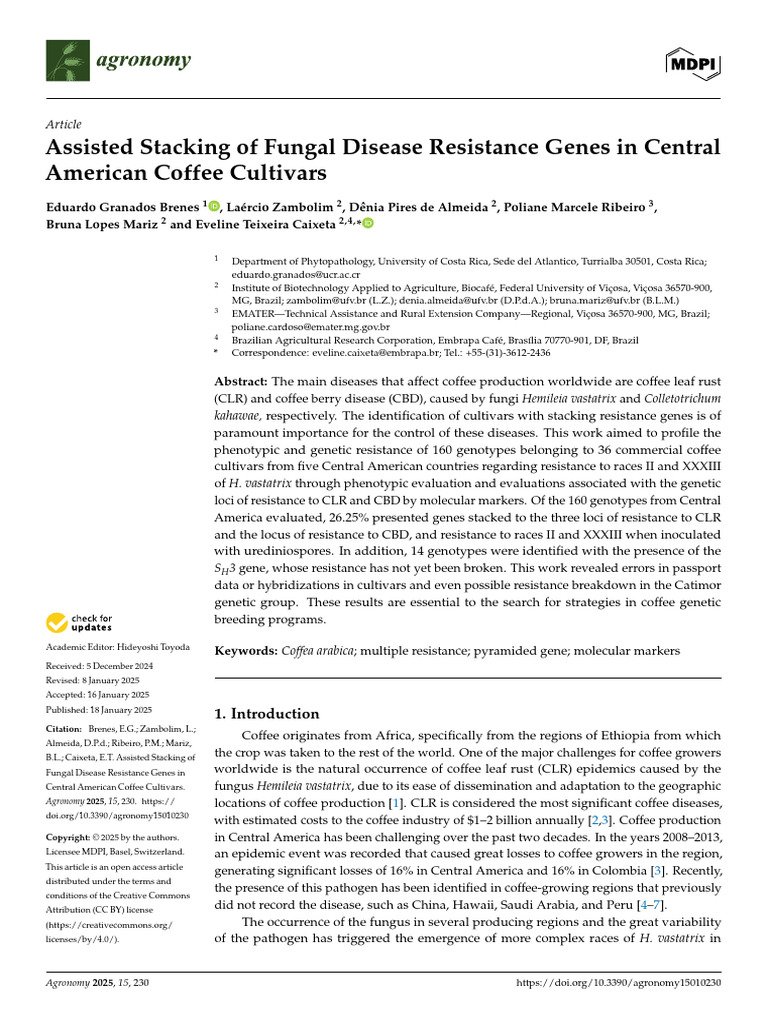 Assisted Stacking of Fungal Disease Resistance Genes in Central ...