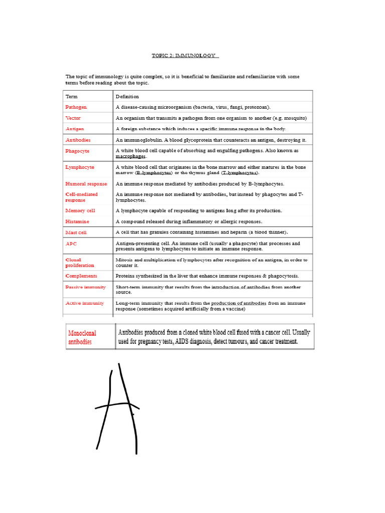 Immunology Notes | PDF