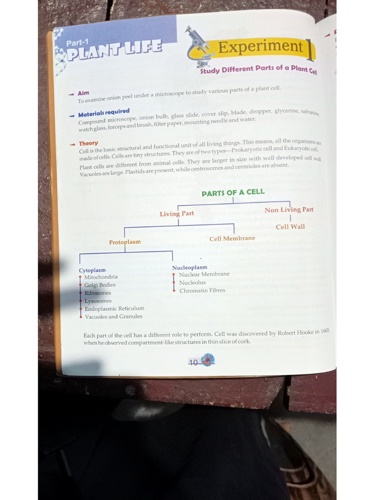 Bio Lab Manual | PDF