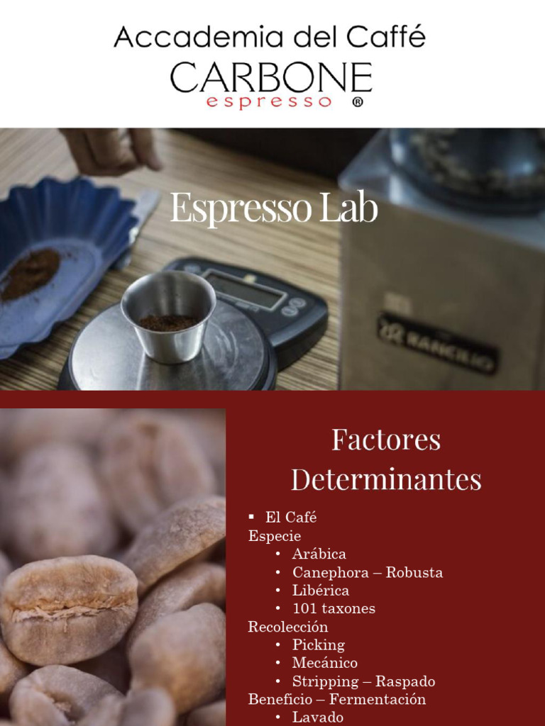 Espresso Lab 2019 | PDF | café