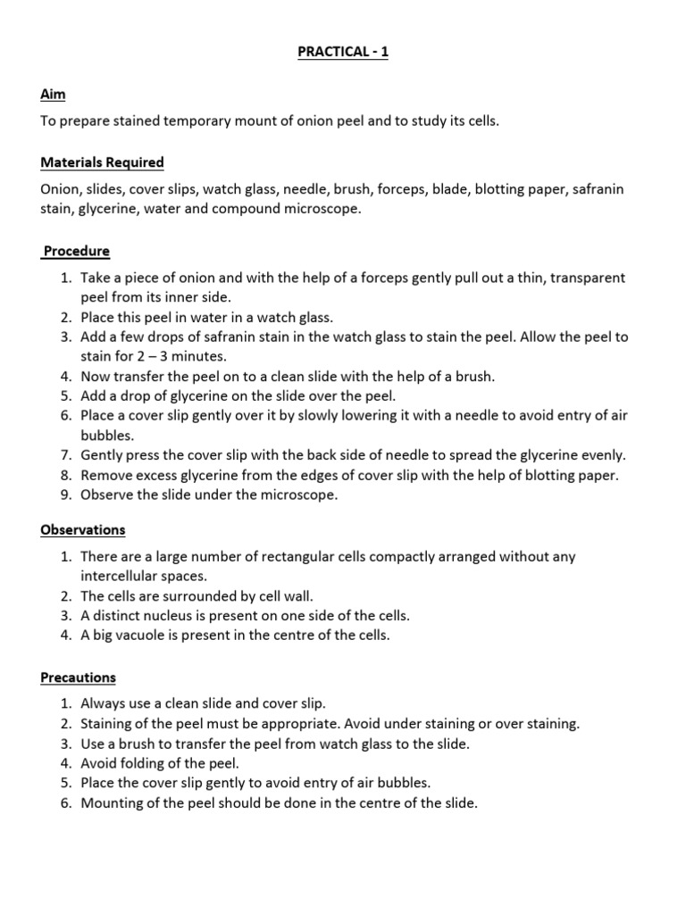 PRACTICAL 1 - Temporary Mount of Onion Peel Cells | PDF