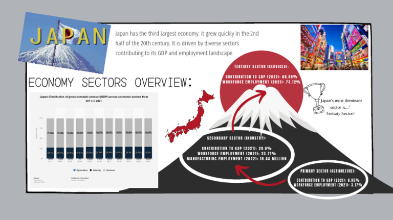 Country Report Japan Presentation | PDF