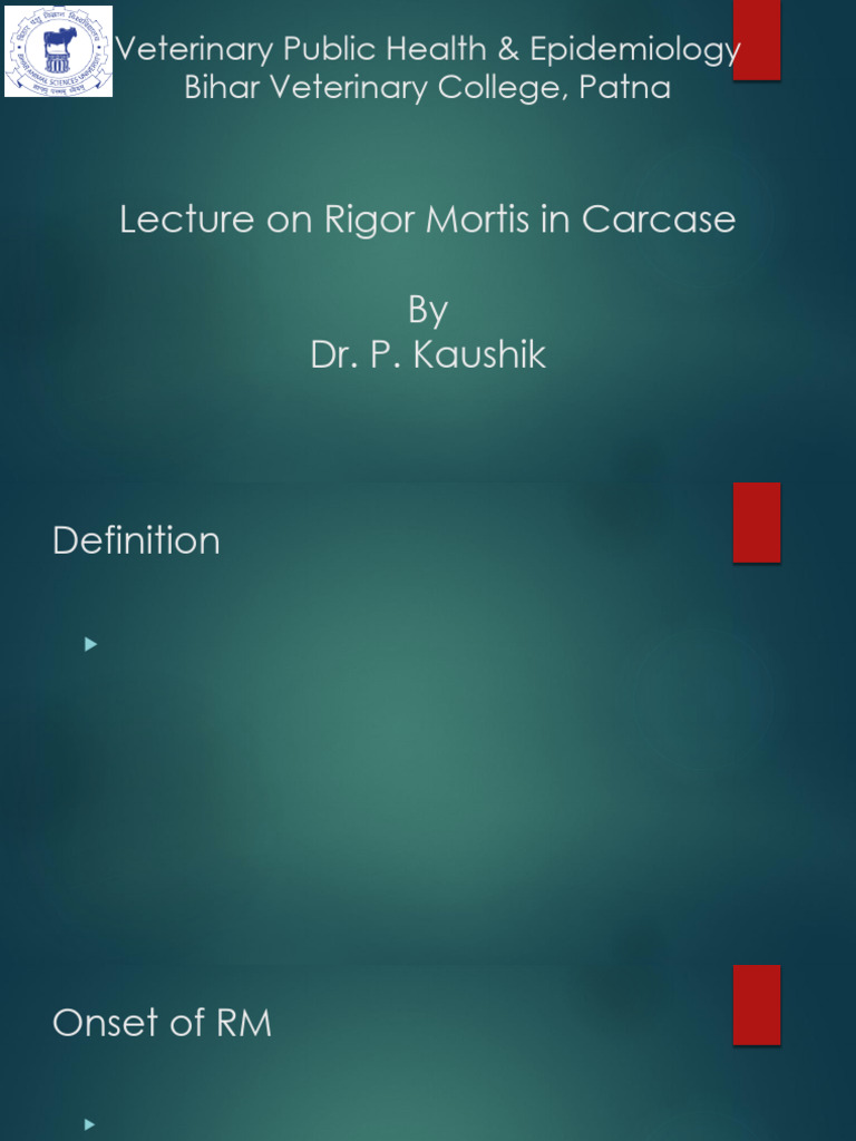 Rigor Mortis | PDF