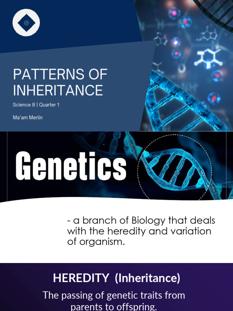 3-Patterns of Inheritance | PDF | Genotype | Dominance (Genetics)