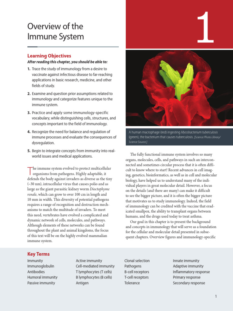 Kuby Immunology - (Chapter 1 Overview of The Immune System) | PDF ...
