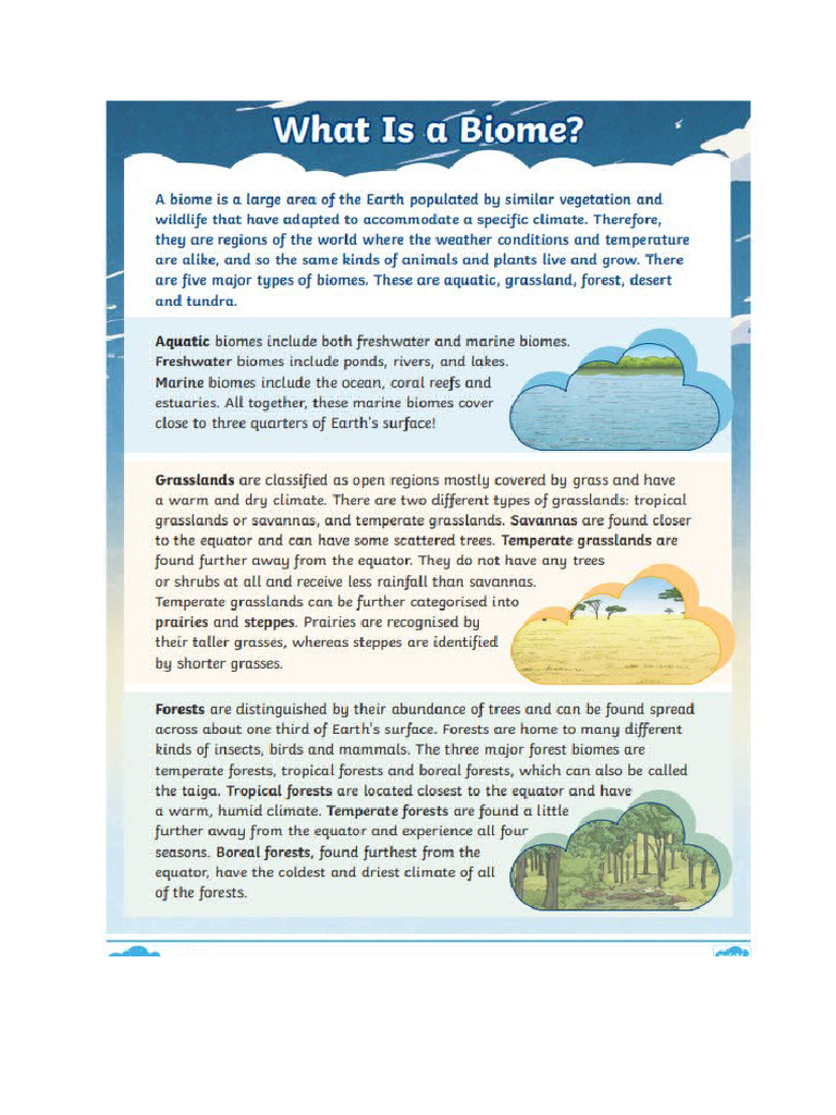 Biomes Reading Comprehension | PDF