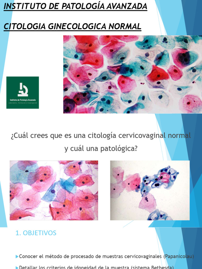 T7 Citologia Ginecologica Normal | PDF | Epitelio | Tinción