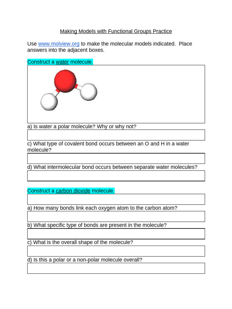 Making Models With Functional Groups Practice (1) | PDF