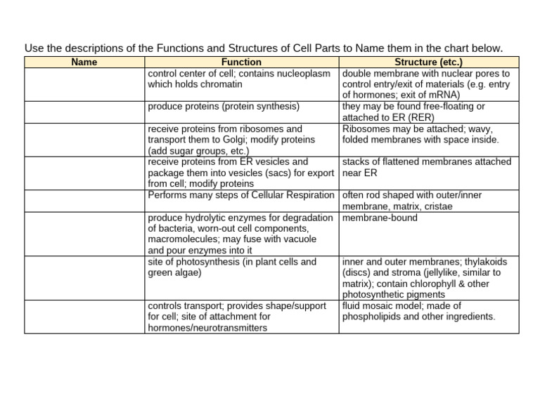 Organelles Structure and Function Chart (1) | PDF