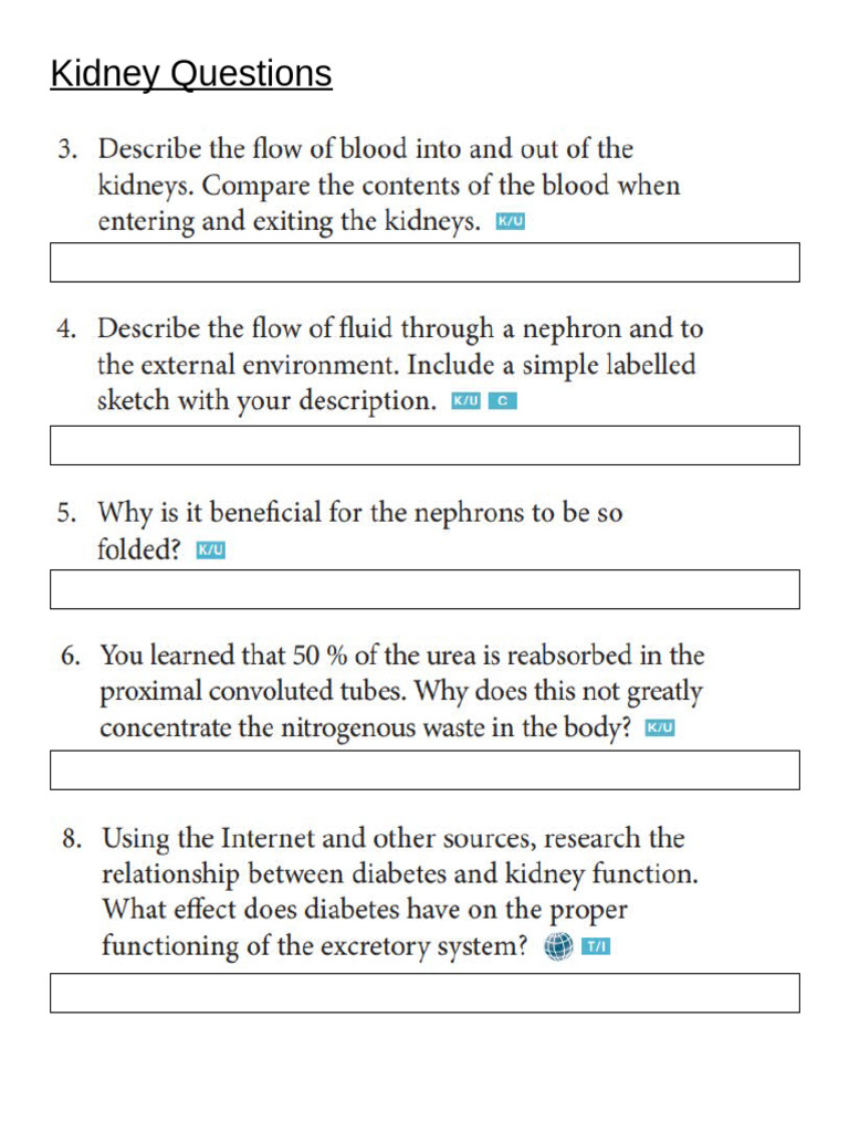 Kidney Questions | PDF