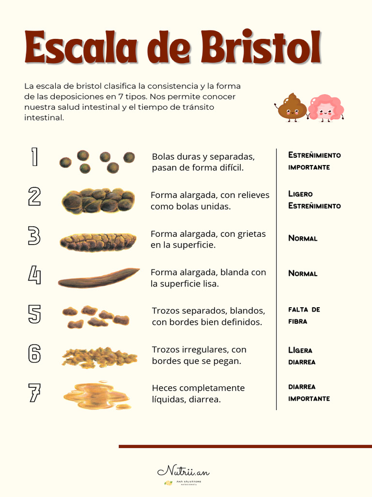Escala de Bristol | PDF