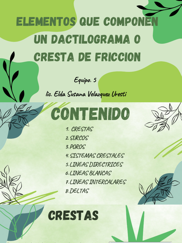 Dactiloscopia Forense Equipo 5 PDF | PDF | Huella dactilar