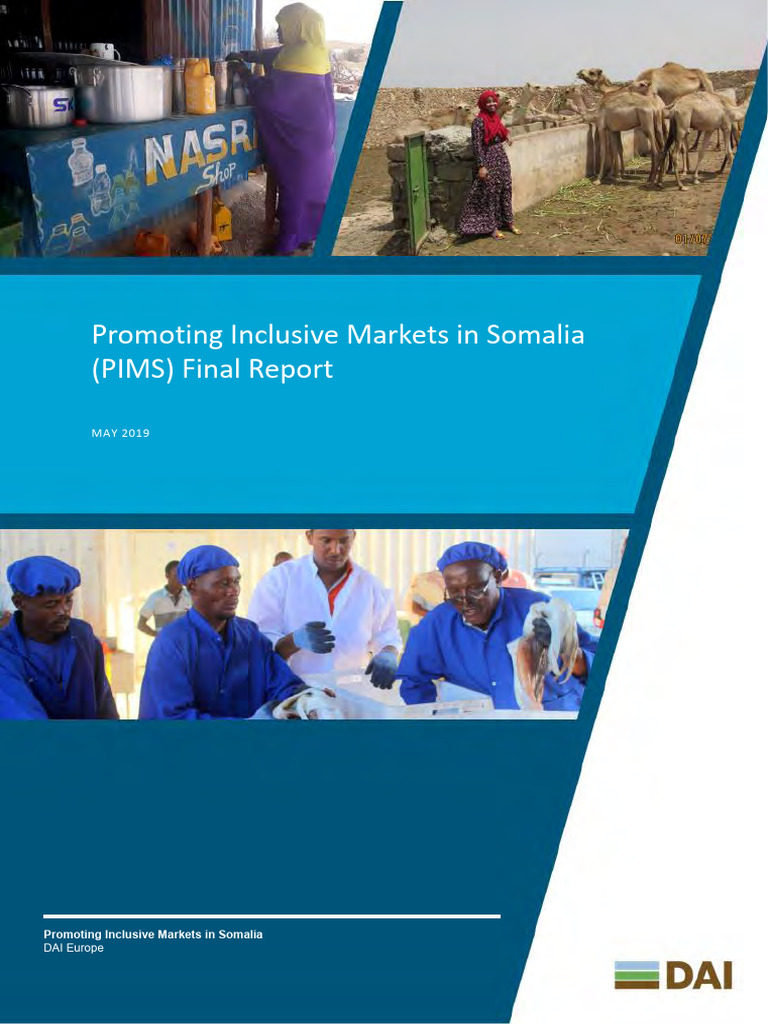 daieuropepims-finalreportv2 | PDF | Private Sector Development | Somalia