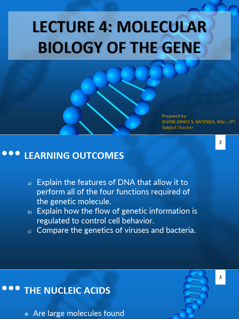 Biology Lecture 4 | PDF | Translation (Biology) | Dna Replication