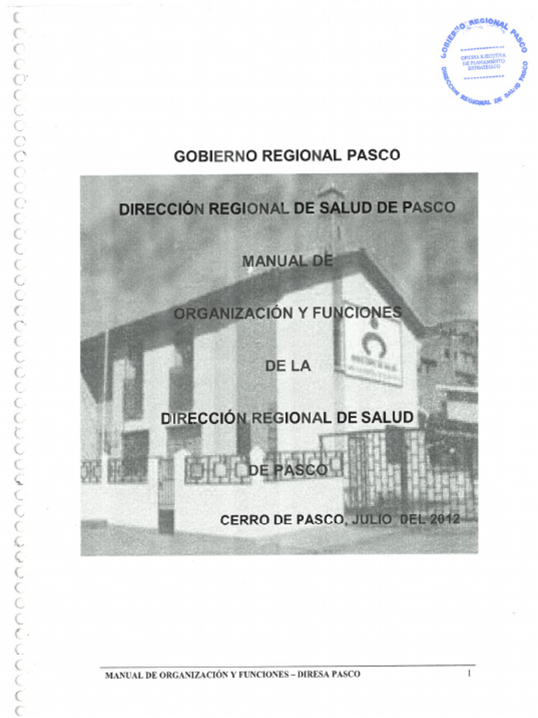 Manual de Organización y Funciones (MOF) Diresa Pasco 2012 | PDF