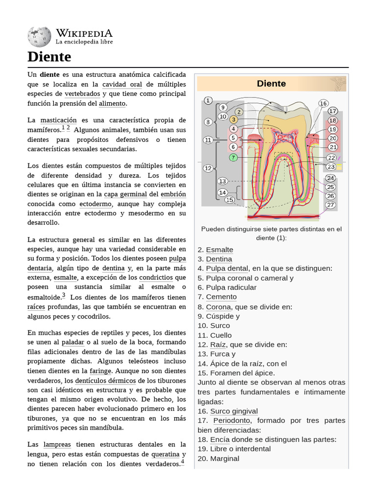 Diente | PDF | Diente | Anatomia animal
