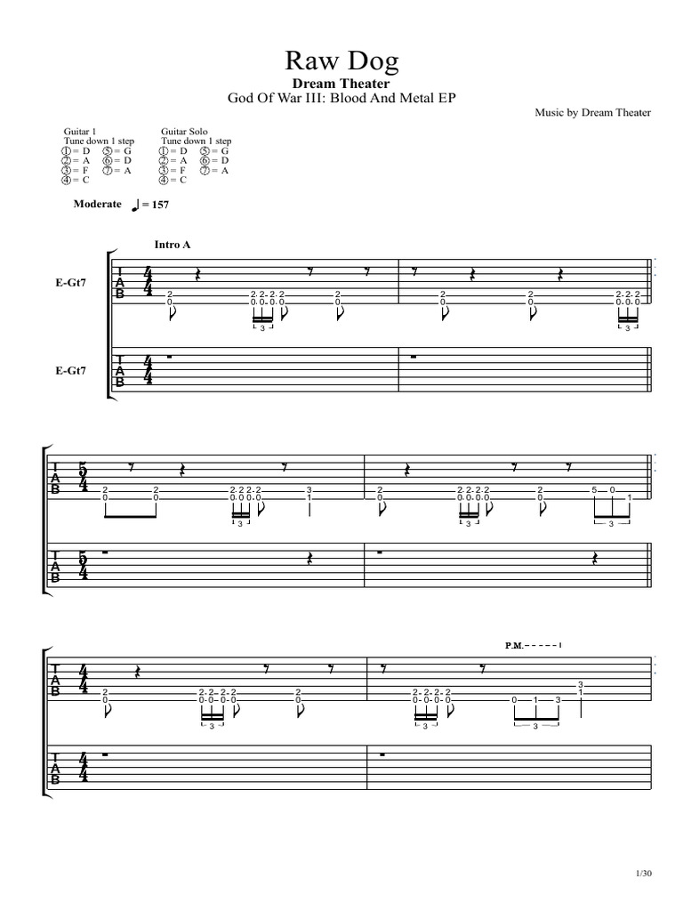 Dream Theater - Raw Dog (Pro) | PDF | Popular Music | Rock Music
