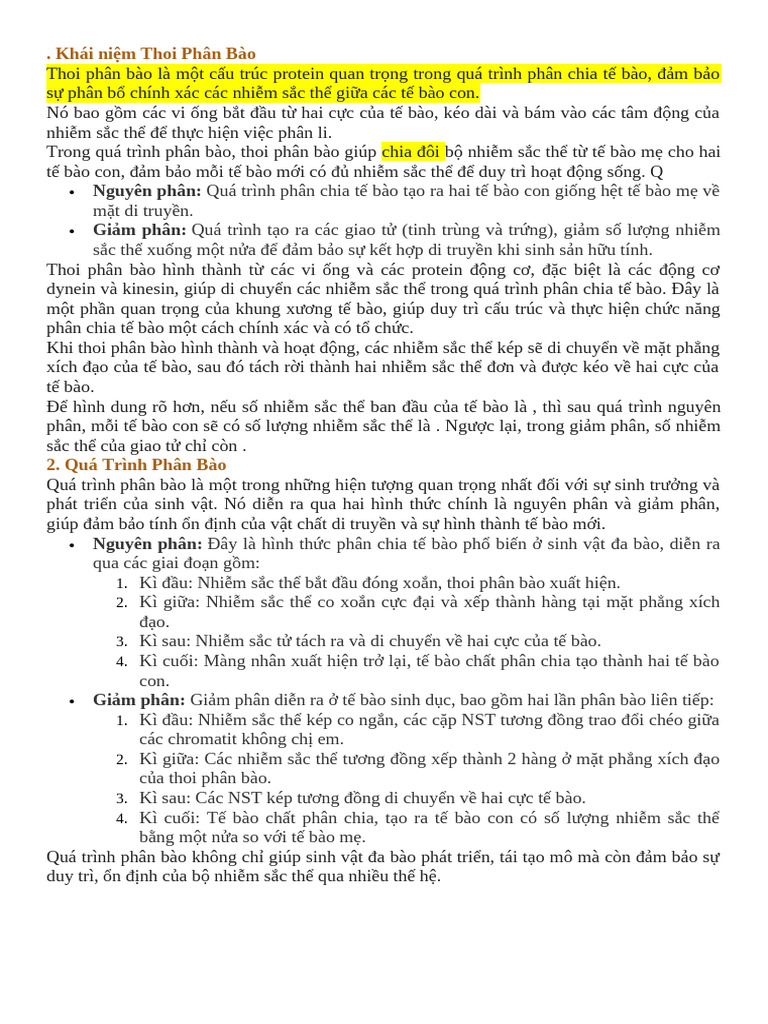 Khái Niệm Thoi Phân Bào | PDF