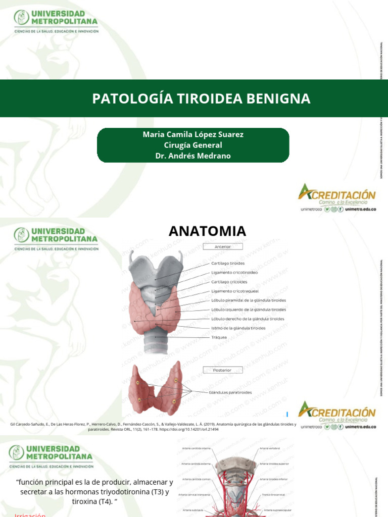 Patologia Tiroidea Benigna | PDF | Tiroides | Hipertiroidismo