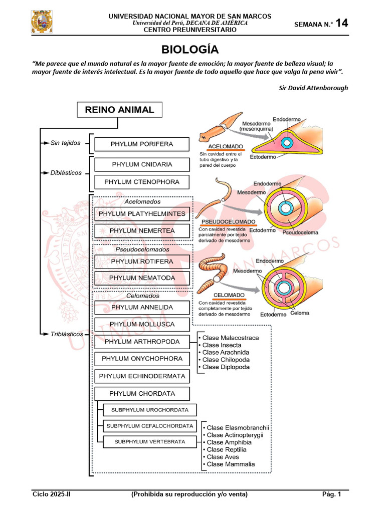Biologia - Semana 14 - Ciclo Ord2025-II (Version Final) | PDF ...